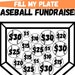 Printable Baseball Fundraiser | "fill My Plate" Customize in Canva ...