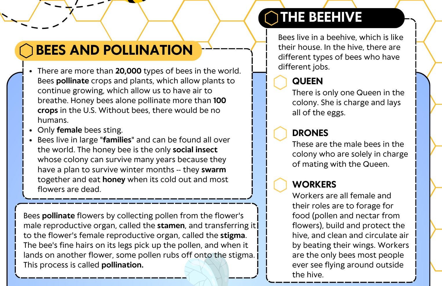 Bees Spring Printable Activity Worksheet | 2 Pages PDF or PNG - Etsy
