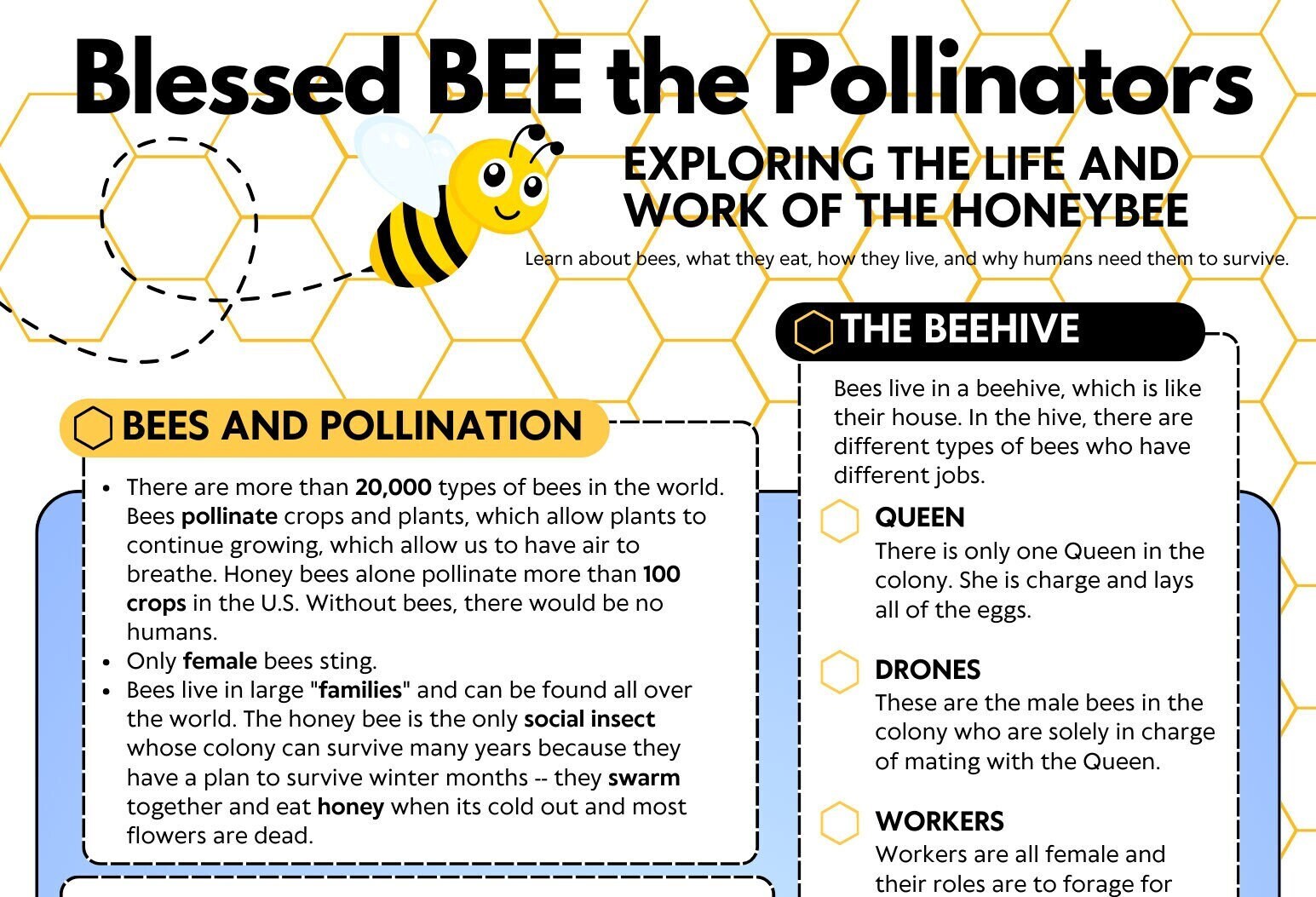 Bees Spring Printable Activity Worksheet | 2 Pages PDF or PNG - Etsy