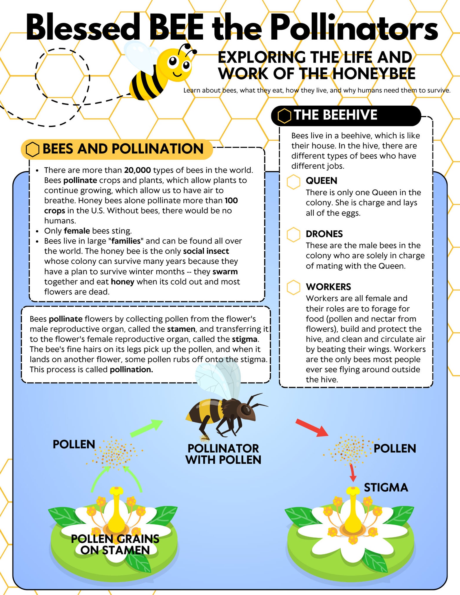 Bees Spring Printable Activity Worksheet | 2 Pages PDF or PNG - Etsy