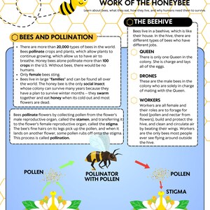 Bees Spring Printable Activity Worksheet | 2 Pages PDF or PNG - Etsy