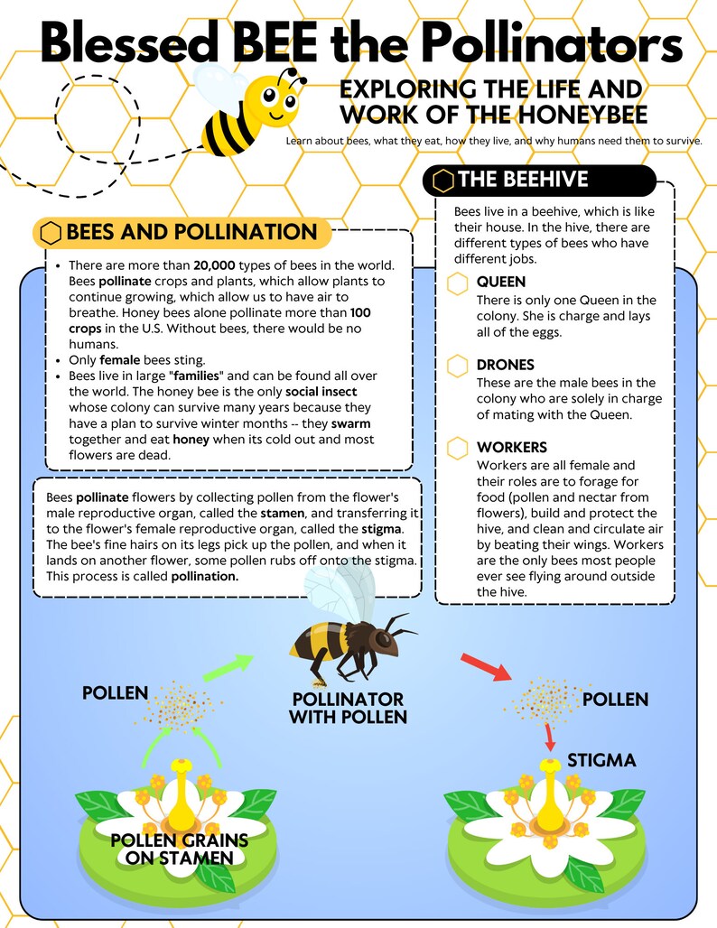 Bees Spring Printable Activity Worksheet | 2 Pages PDF or PNG - Etsy