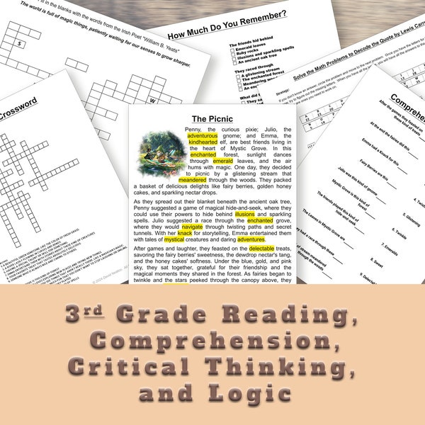 Reading Comprehension Worksheets Third Grade - Etsy