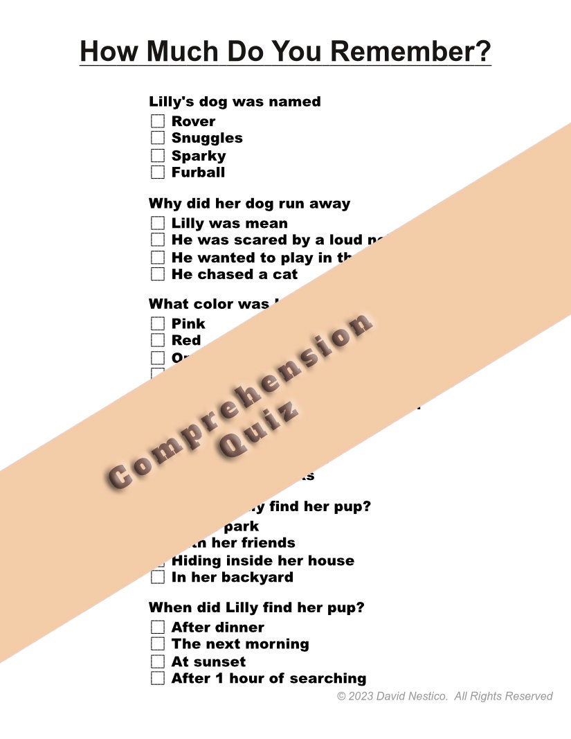 Lilly and Sparky Third Grade Reading Comprehension, Grade 3 Homeschool ...