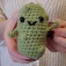 Emotional Support Pickle No Sew Digital Crochet Pattern - Etsy