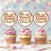 Editable Cupcake Topper Templates, DIY Cupcake Toppers, Party Favors ...