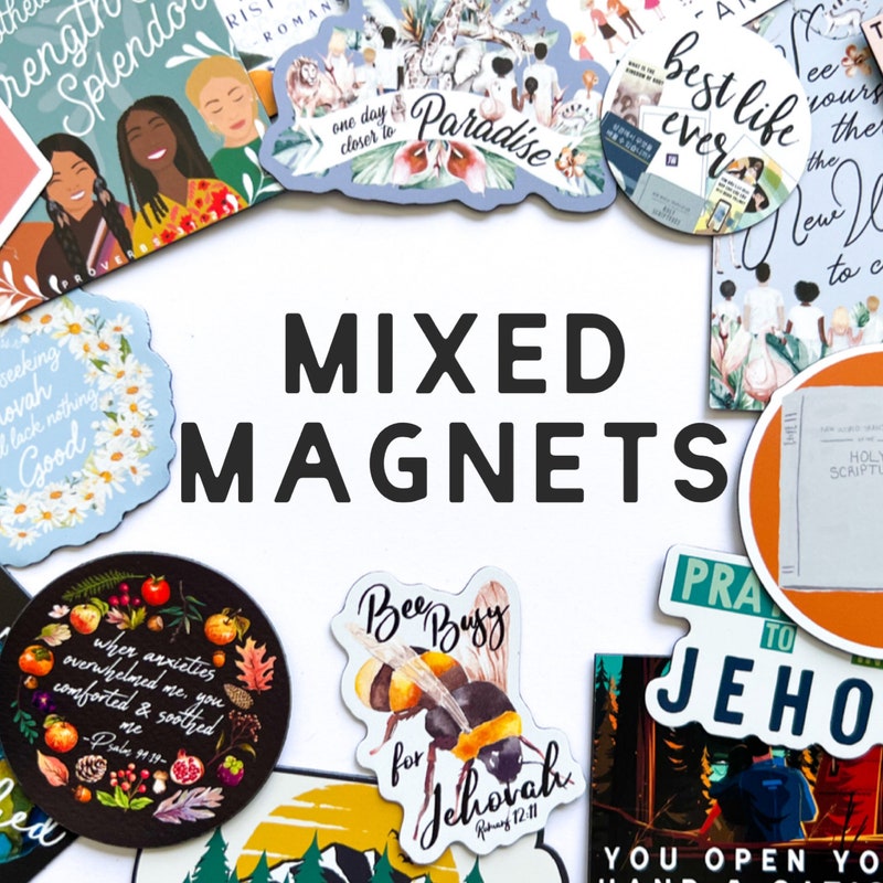 Pioneer Magnet Gift - 60+ Gift Ideas for 2026