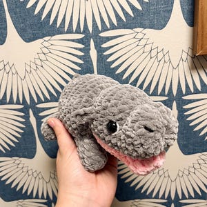 Made to Order: Moo Deng Crochet Plushie - Etsy