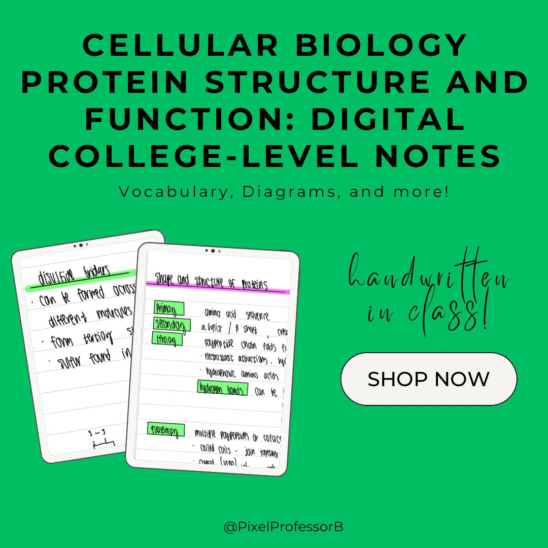 Cell Bio: Protein Structure and Function Notes - Etsy