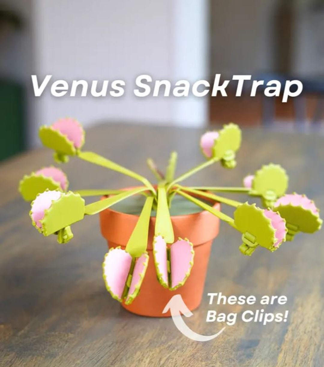 Venus Fly Trap | Snack Clips | Snacktrap Forgecore - Etsy
