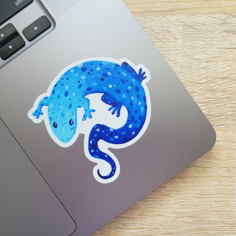 Blue Salamander Vinyl Sticker, Amphibian Sticker, Lizard Sticker, Water ...