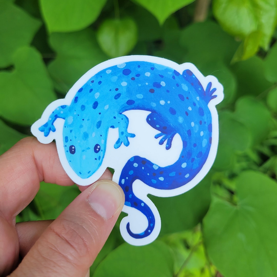 Blue Salamander Vinyl Sticker, Amphibian Sticker, Lizard Sticker, Water ...