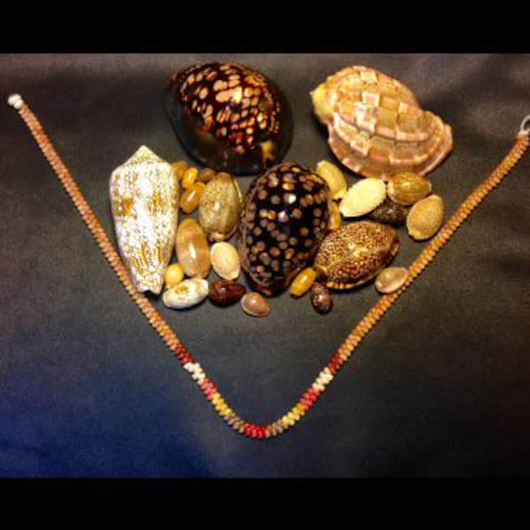Kahelelani Shell Necklace 19”, With an Exquisite Array of Colors ...