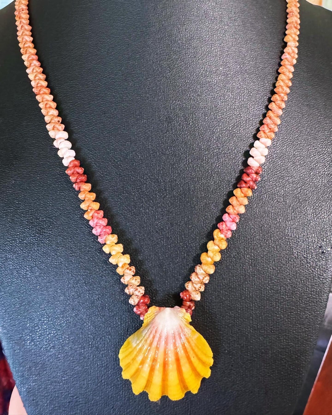 Kahealani Shell Necklace, Beautiful Sunrise Shell and Colorful ...