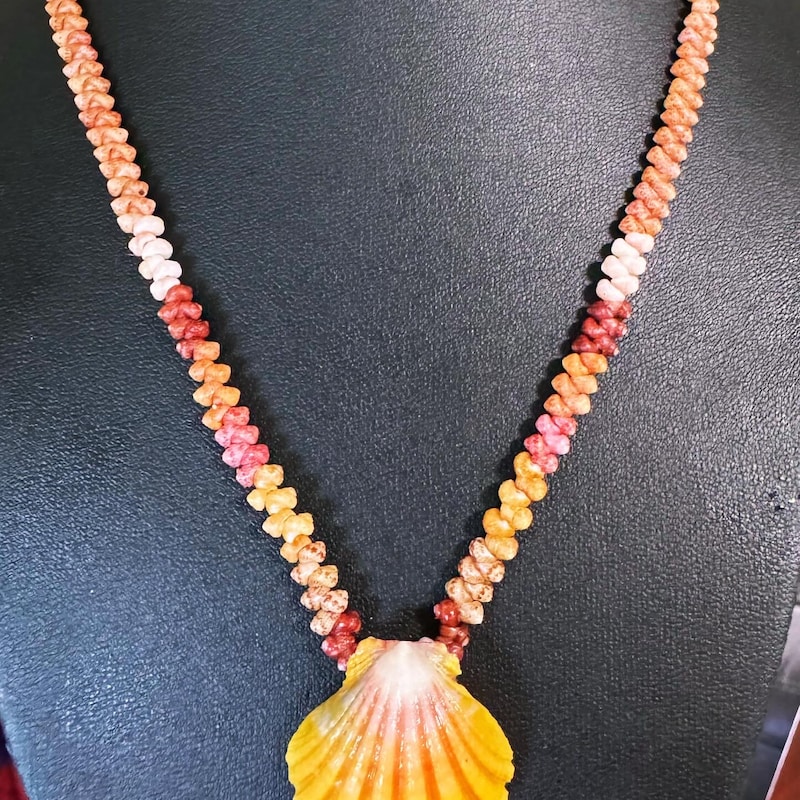 Sunrise Shell - Etsy