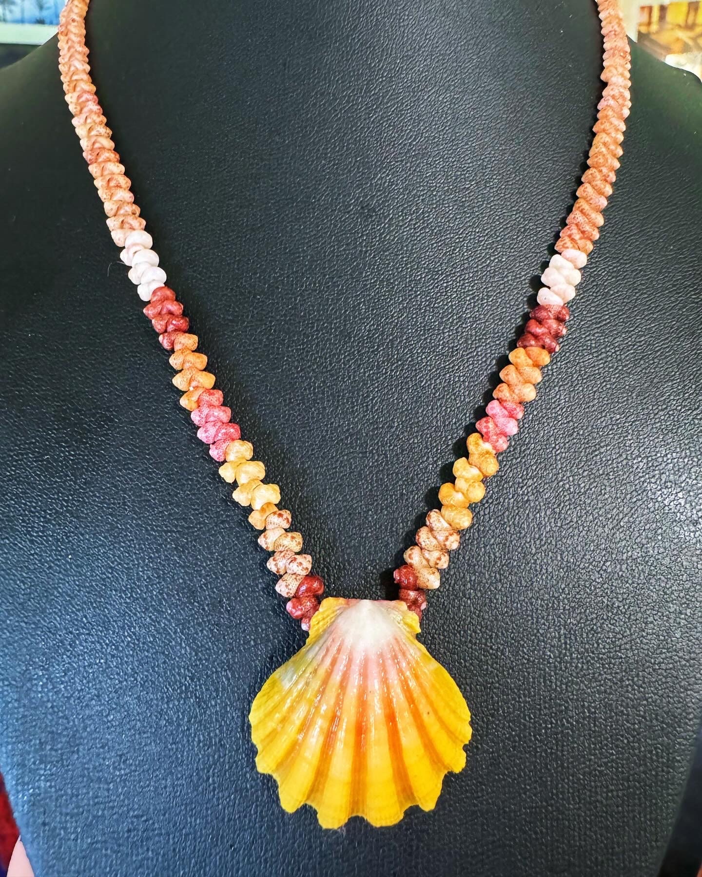Kahealani Shell Necklace, Beautiful Sunrise Shell and Colorful ...