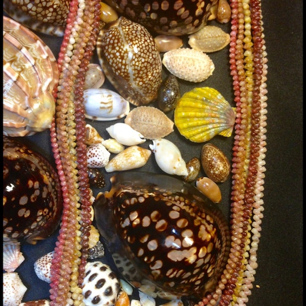 Kauaishellqueen - Etsy