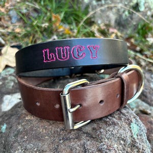 Leather Dog Collar With Name - Etsy