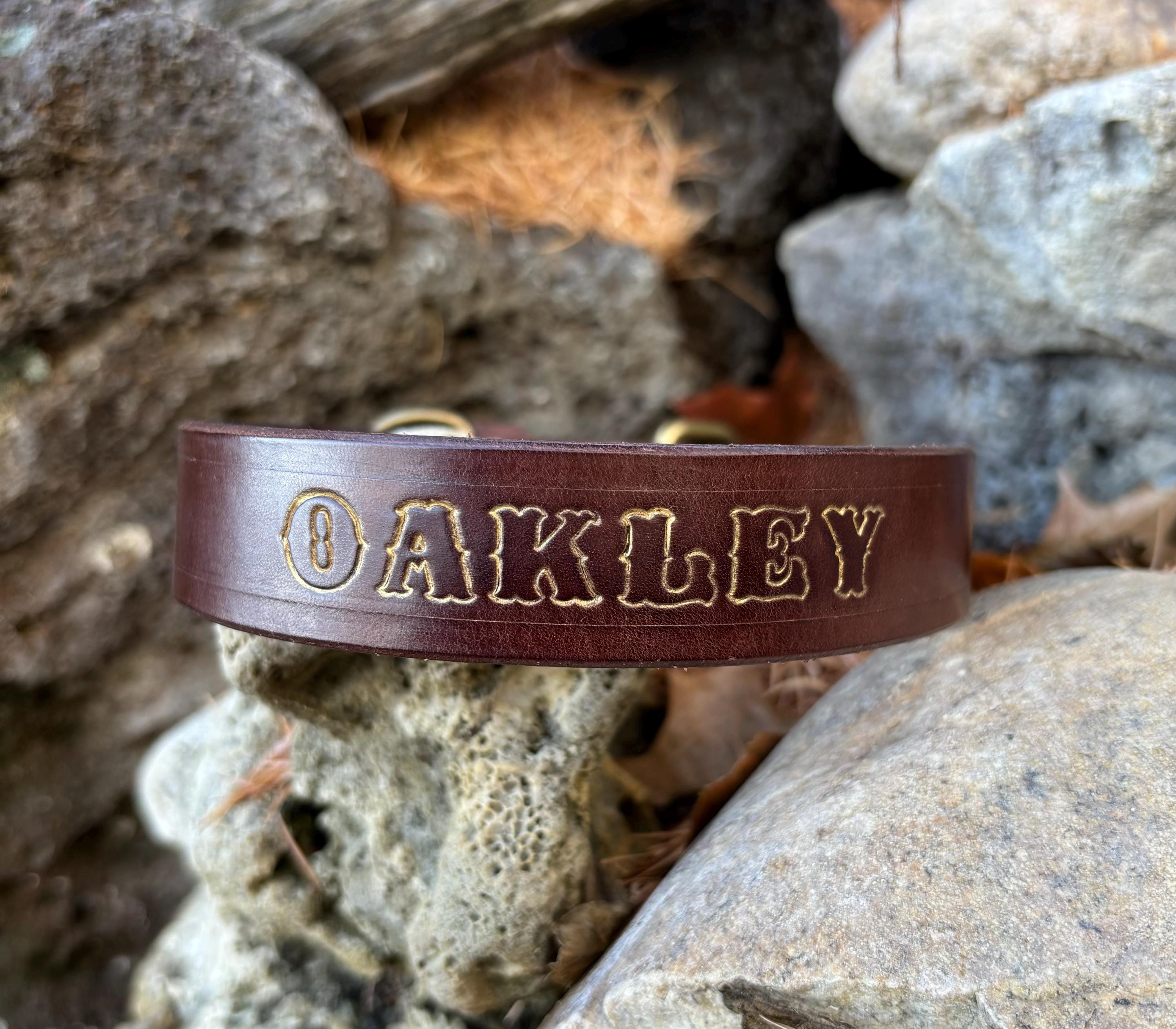 Leather Dog Collar With Name - Etsy