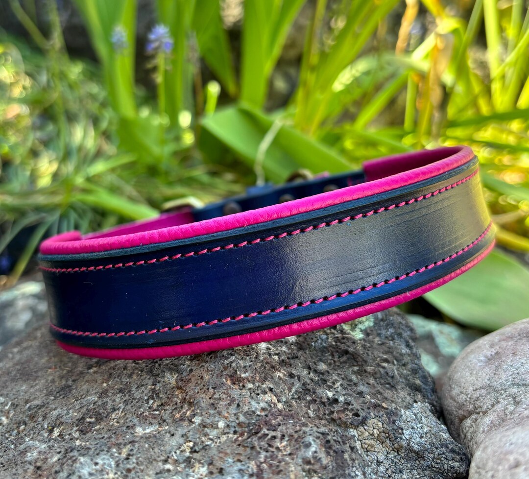 Padded Leather Dog Collar 1 Inch Wide. - Etsy