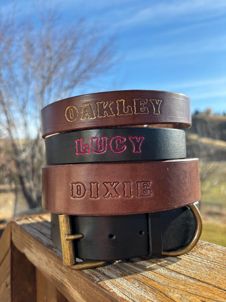 Leather Dog Collar With Name - Etsy