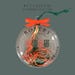 Personalized FAMU Graduation Ornament, Florida A and M Keepsake, Tassel ...