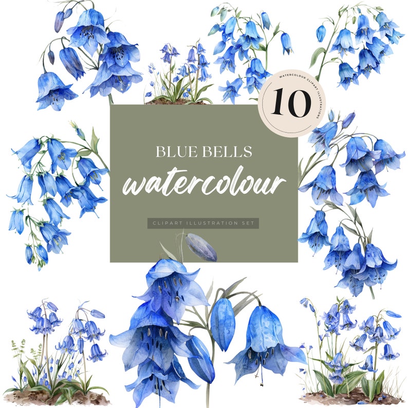 Blue Bells, Includes 10 High-quality Pngs, Watercolour, Transparent ...