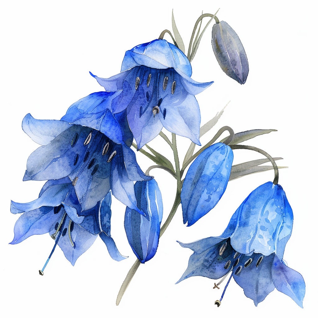 Blue Bells, Includes 10 High-quality Pngs, Watercolour, Transparent ...