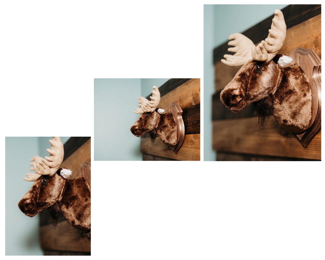 Children's Stuffed Moose Plaque - Etsy