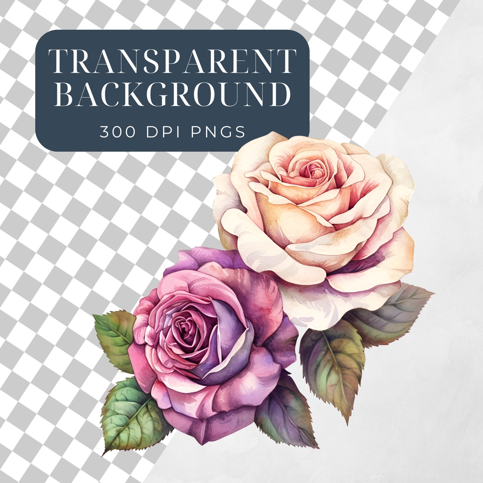 Burgundy & Cream Roses Clipart, Watercolor Roses, Roses Clipart, Blush ...