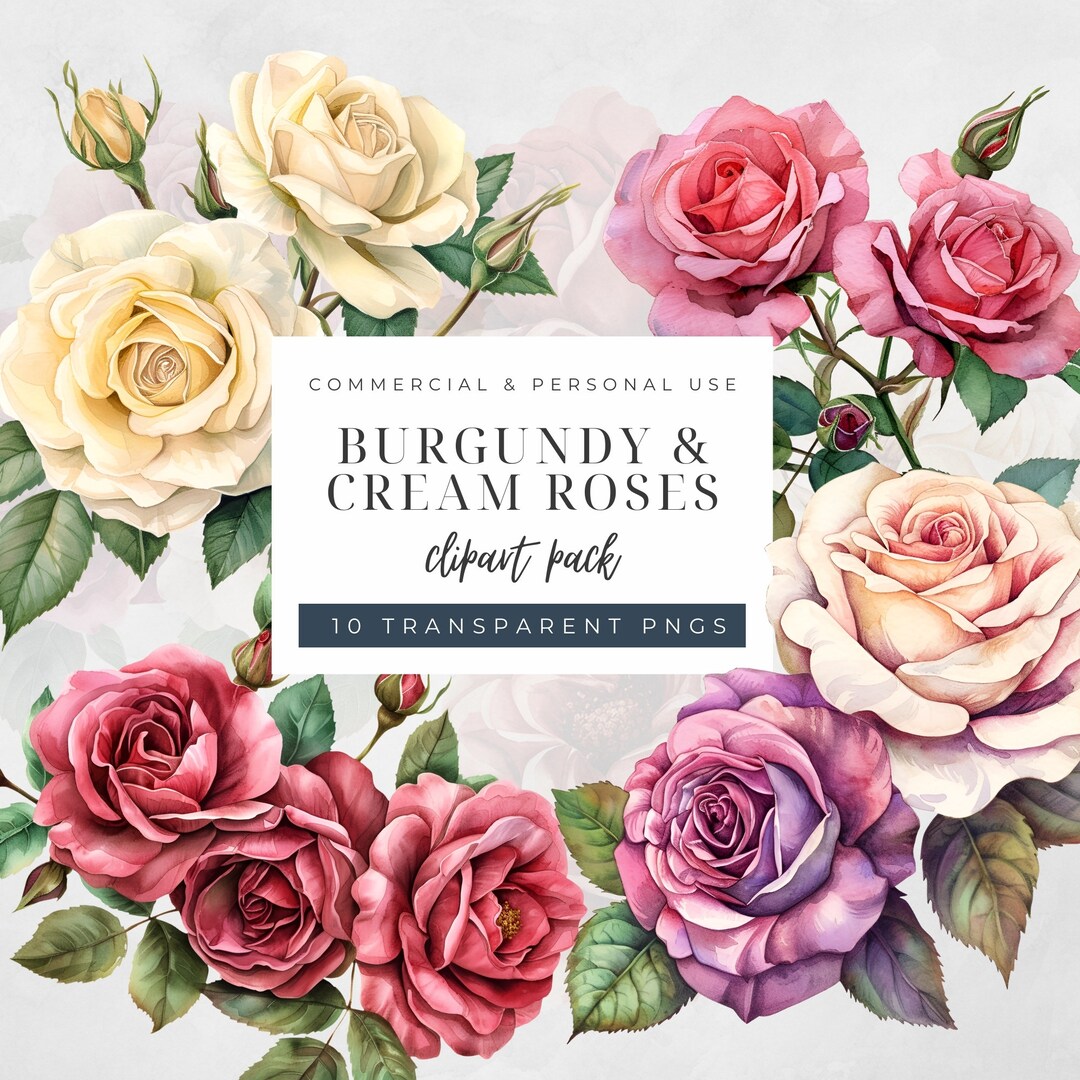 Burgundy & Cream Roses Clipart, Watercolor Roses, Roses Clipart, Blush ...