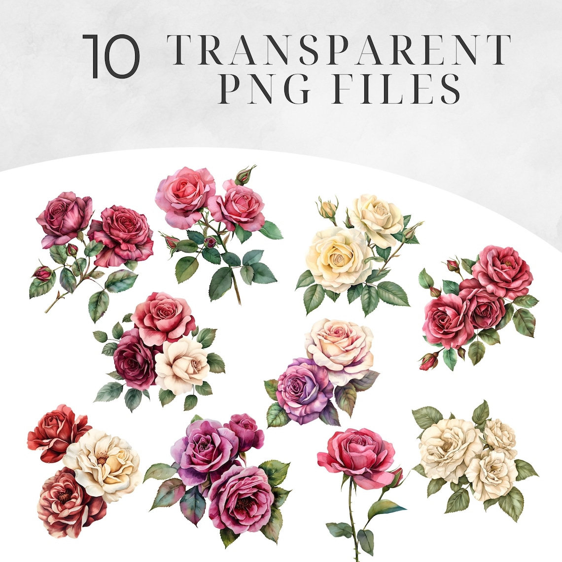 Burgundy & Cream Roses Clipart, Watercolor Roses, Roses Clipart, Blush ...