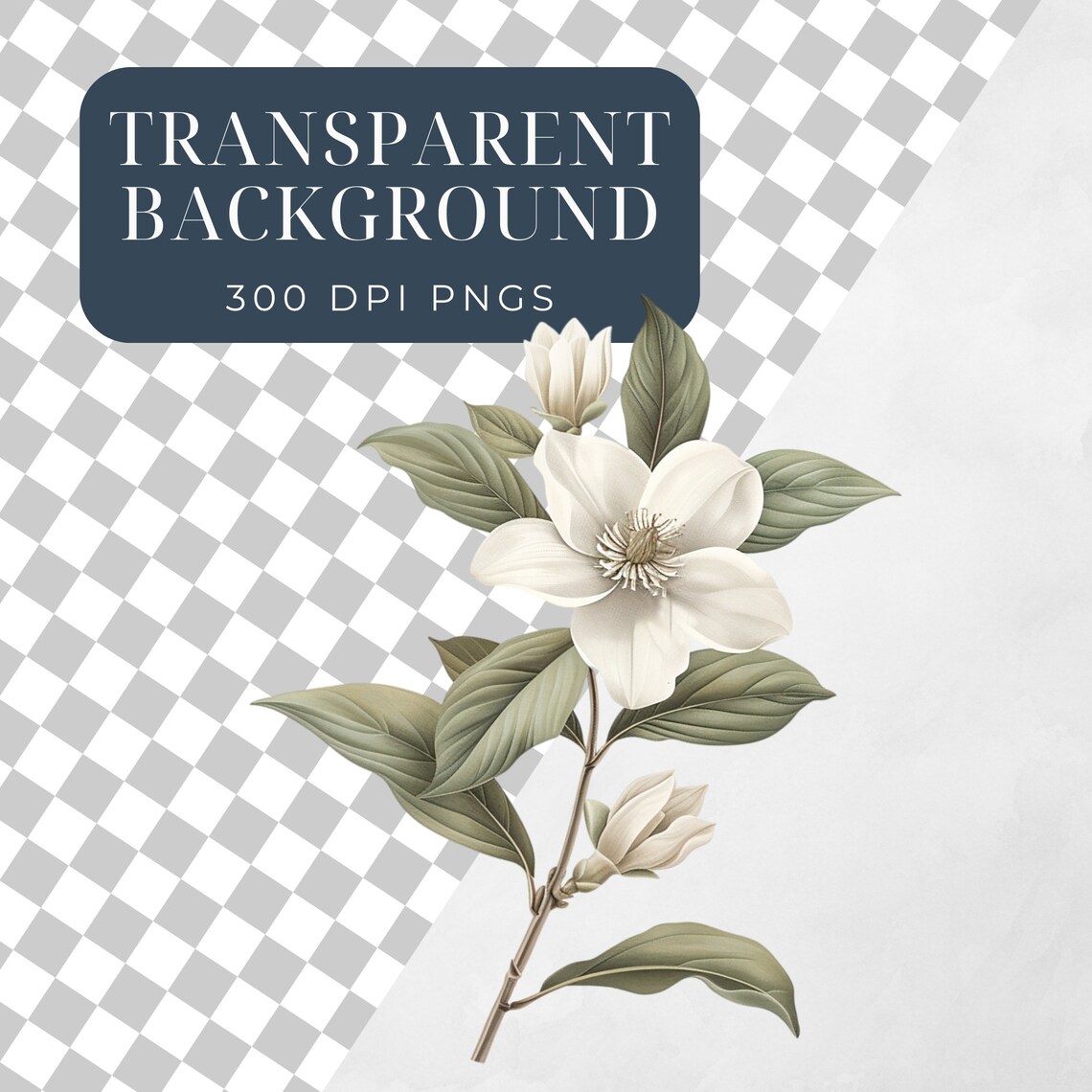 Botanical Stems Clipart, Watercolor Bundle Clipart, Botanical Clipart ...