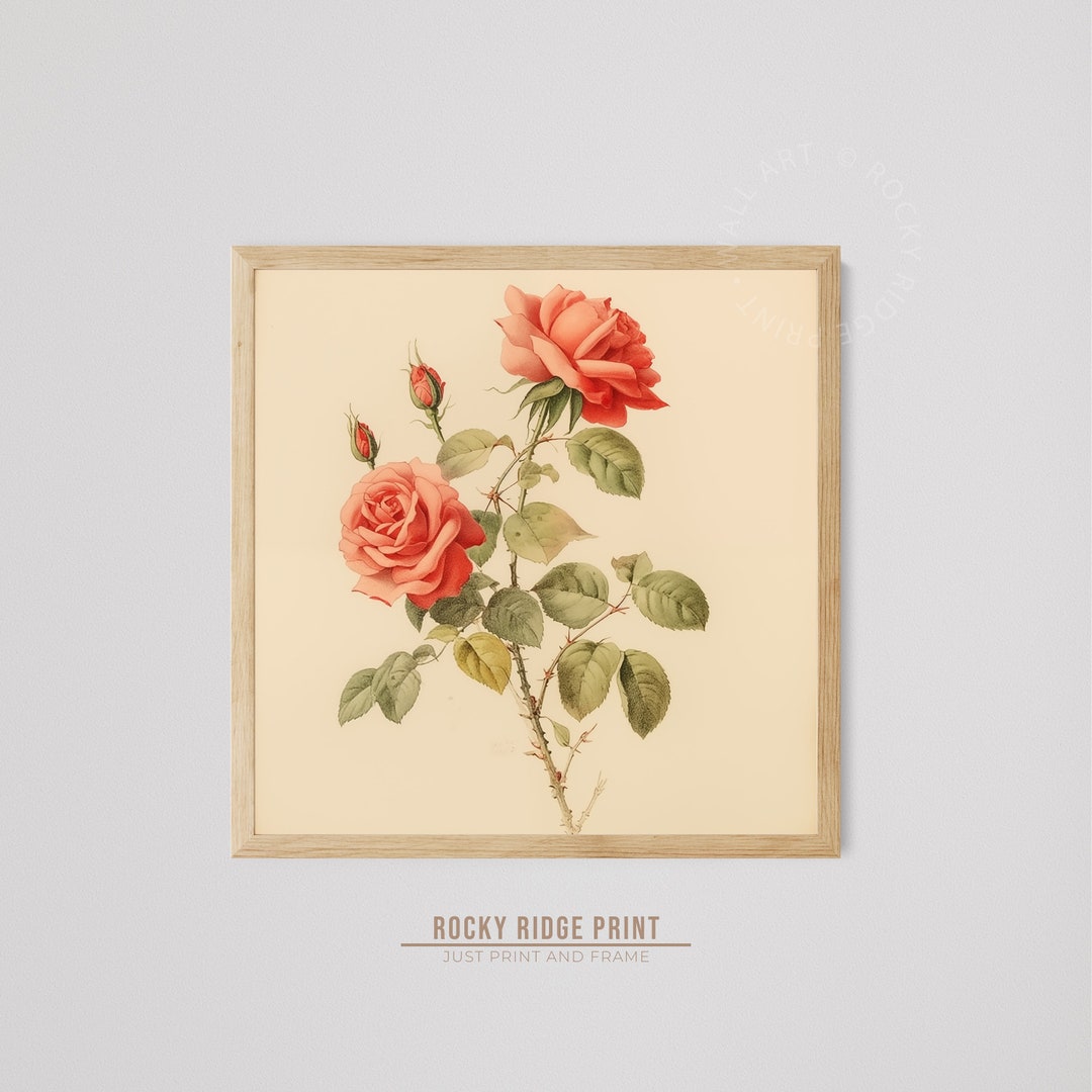 Antique Roses Painting | Antique Botanical Painting | Floral Print ...
