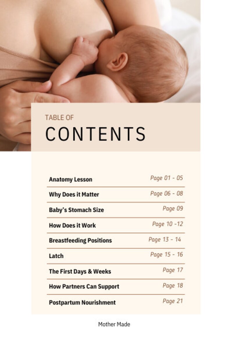 Mother Made: A Holistic Guide to Nourishing Mother and Baby During Breastfeeding E-BOOK INSTANT ...
