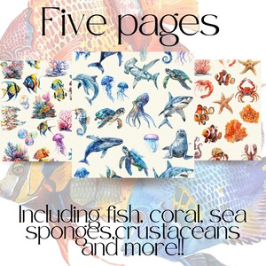 Ocean Animal Digital Sticker Book for Goodnotes, Sea Life Planner ...