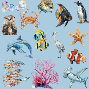 Aquatic Animal Themed Digital Sticker Book for Goodnotes, Tropical Fish ...