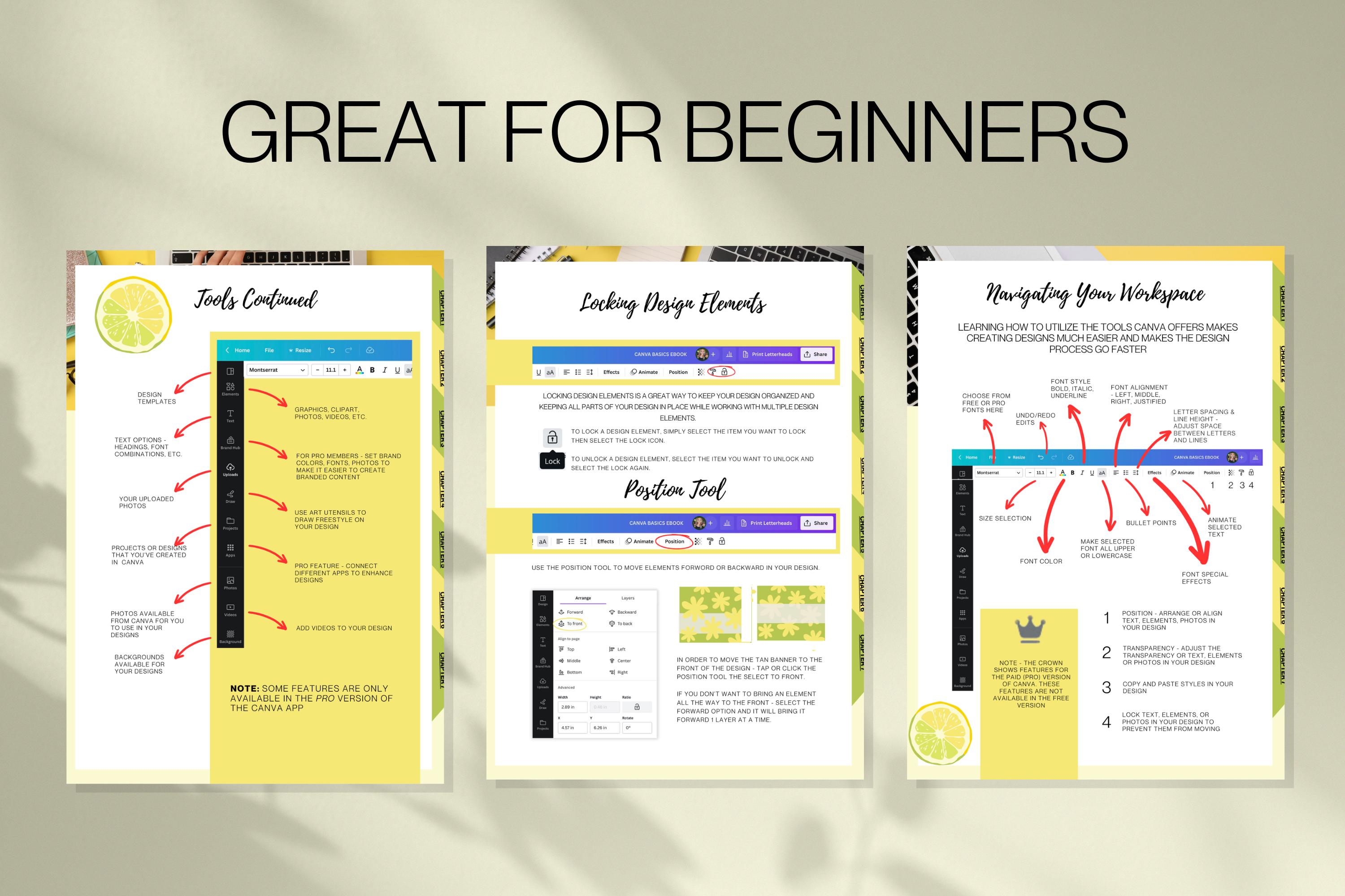 Canva Crash Course Ebook | Canva Tutorial for Beginners | Free & Pro ...