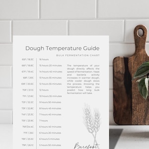 Sourdough Dough Temperature Guide for Perfect Bulk Fermentation ...