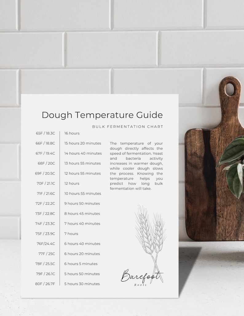 Sourdough Dough Temperature Guide for Perfect Bulk Fermentation ...