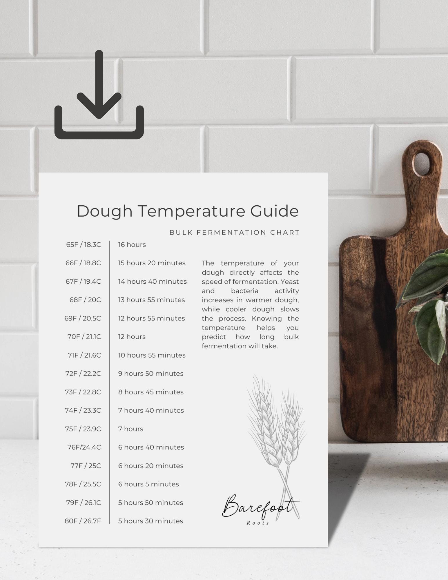 Sourdough Dough Temperature Guide for Perfect Bulk Fermentation ...