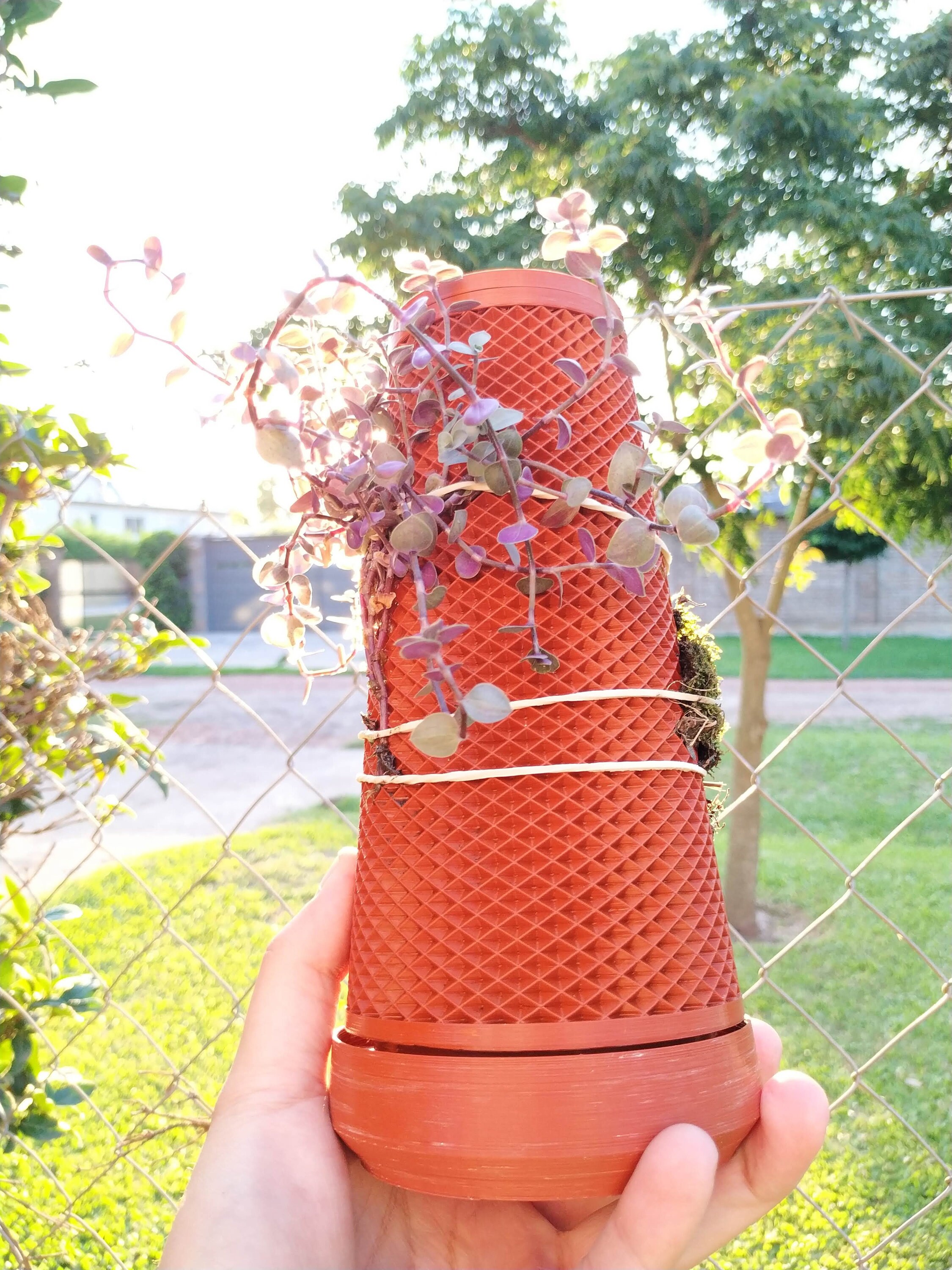 AQUA PLANTER Terracott - Etsy