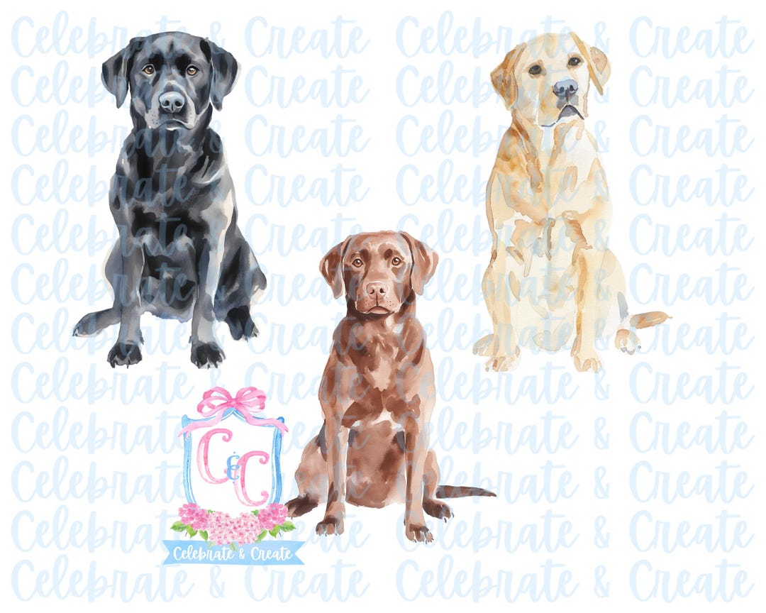Watercolor Set of 3 Lab Labrador Retriever Chocolate Yellow Black Brown ...