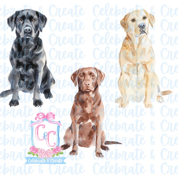 Lab Sketch Clip Art - Etsy