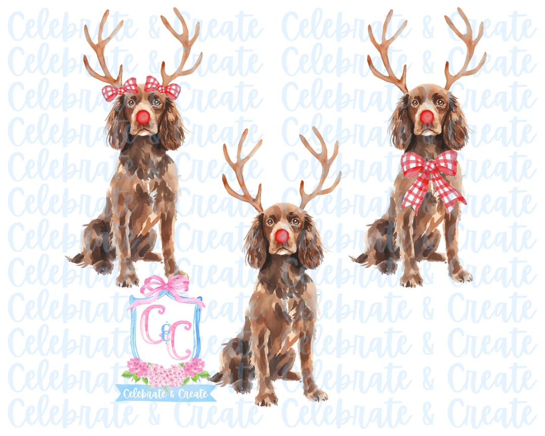 Set of 3 Watercolor Rudolph Boykin Spaniel Dog Antlers & Red Nose PNG ...