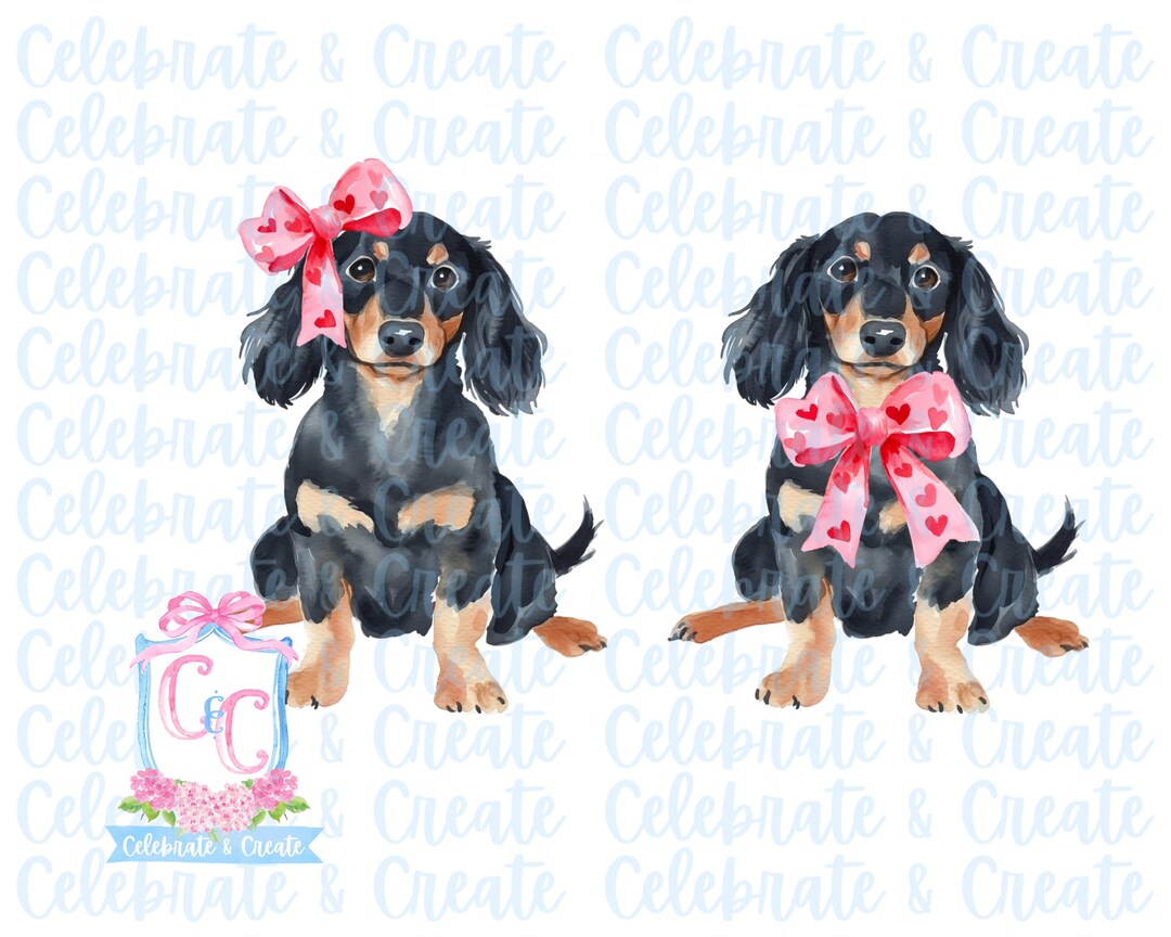 Watercolor Long Haired Dachshund Weenie Weiner Dog PNG Clipart ...