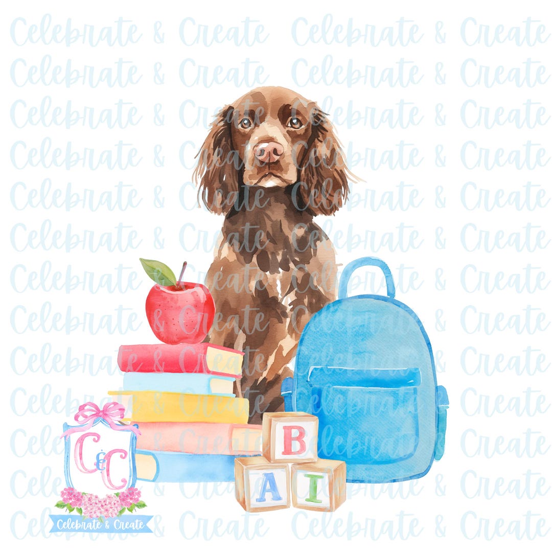 Boykin Spaniel Watercolor Dog Puppy Back to School August Fall PNG ...