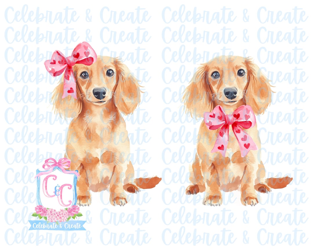 Watercolor Long Haired Dachshund Weenie Weiner Dog PNG Clipart ...