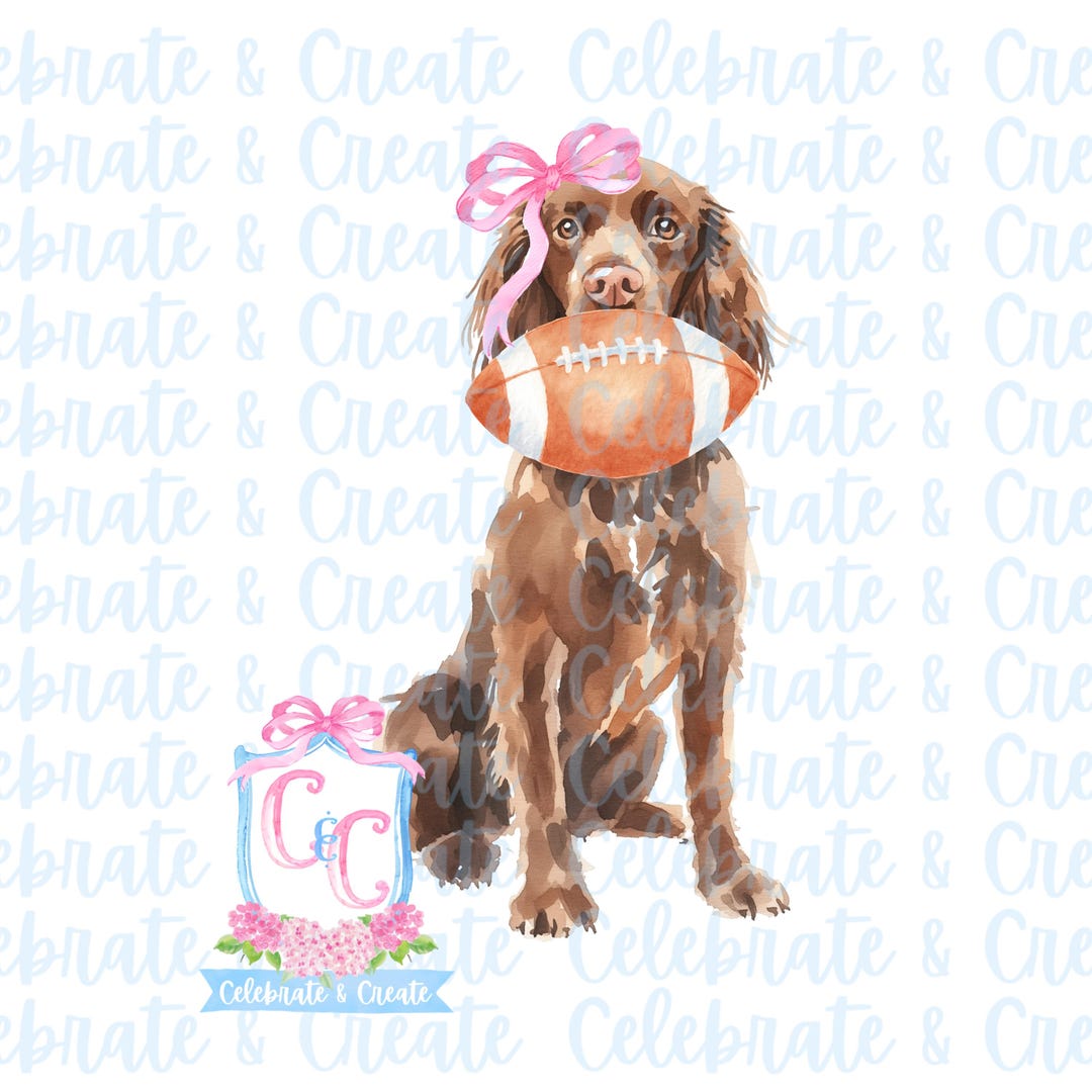 Boykin Spaniel Watercolor Football Dog PNG Clipart Stationery ...