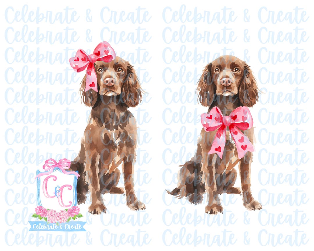 Watercolor Boykin Spaniel Dog PNG Clipart Grandmillennial Doodles AI ...